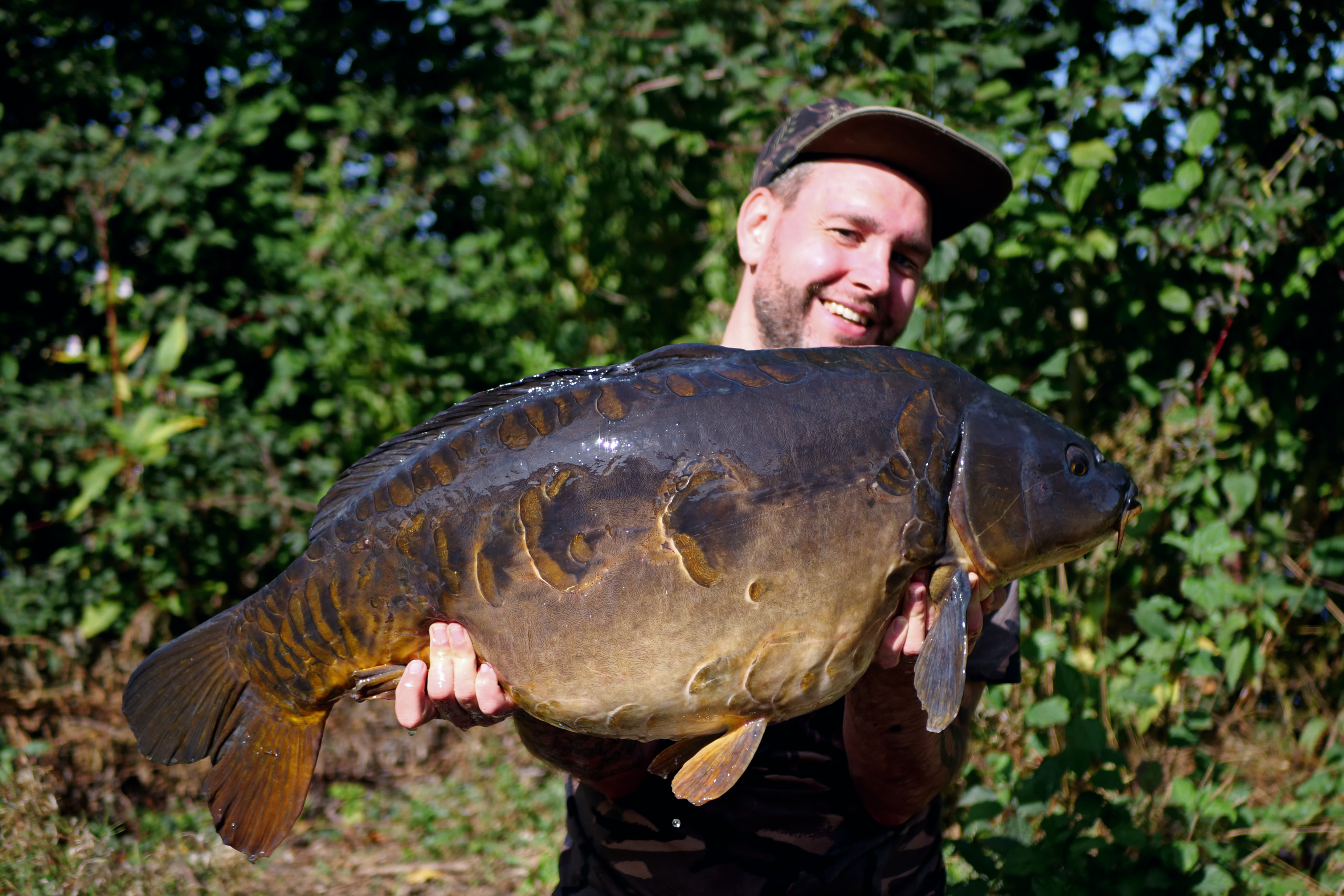 39.10 scaley | Total Carp